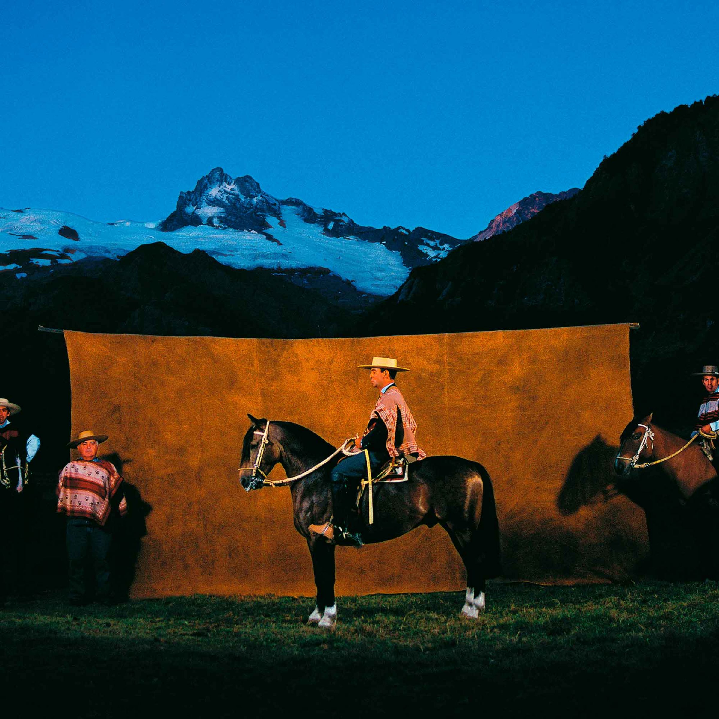 YANN ARTHUS-BERTRAND PHOTO | Horses | Official