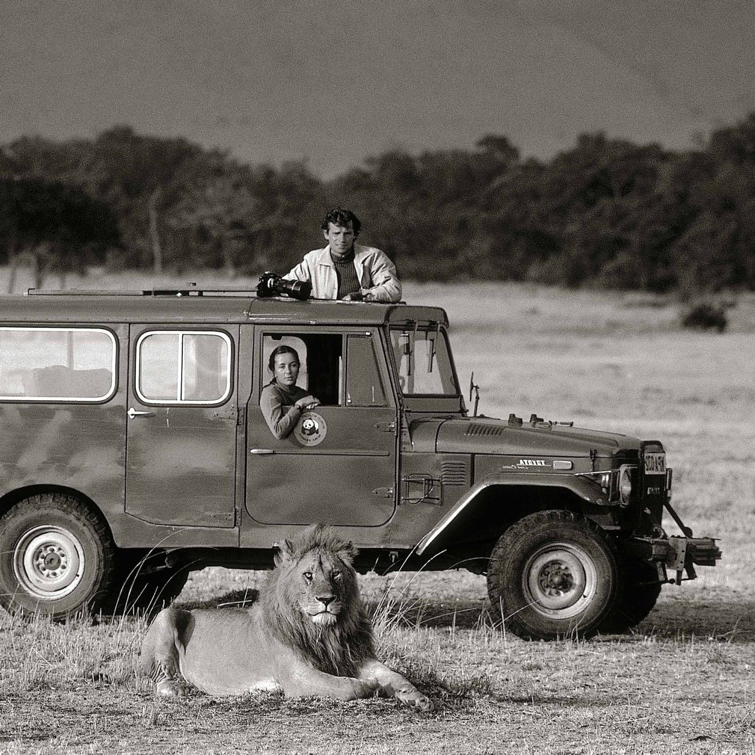 YANN ARTHUS-BERTRAND PHOTO | Lion | Official