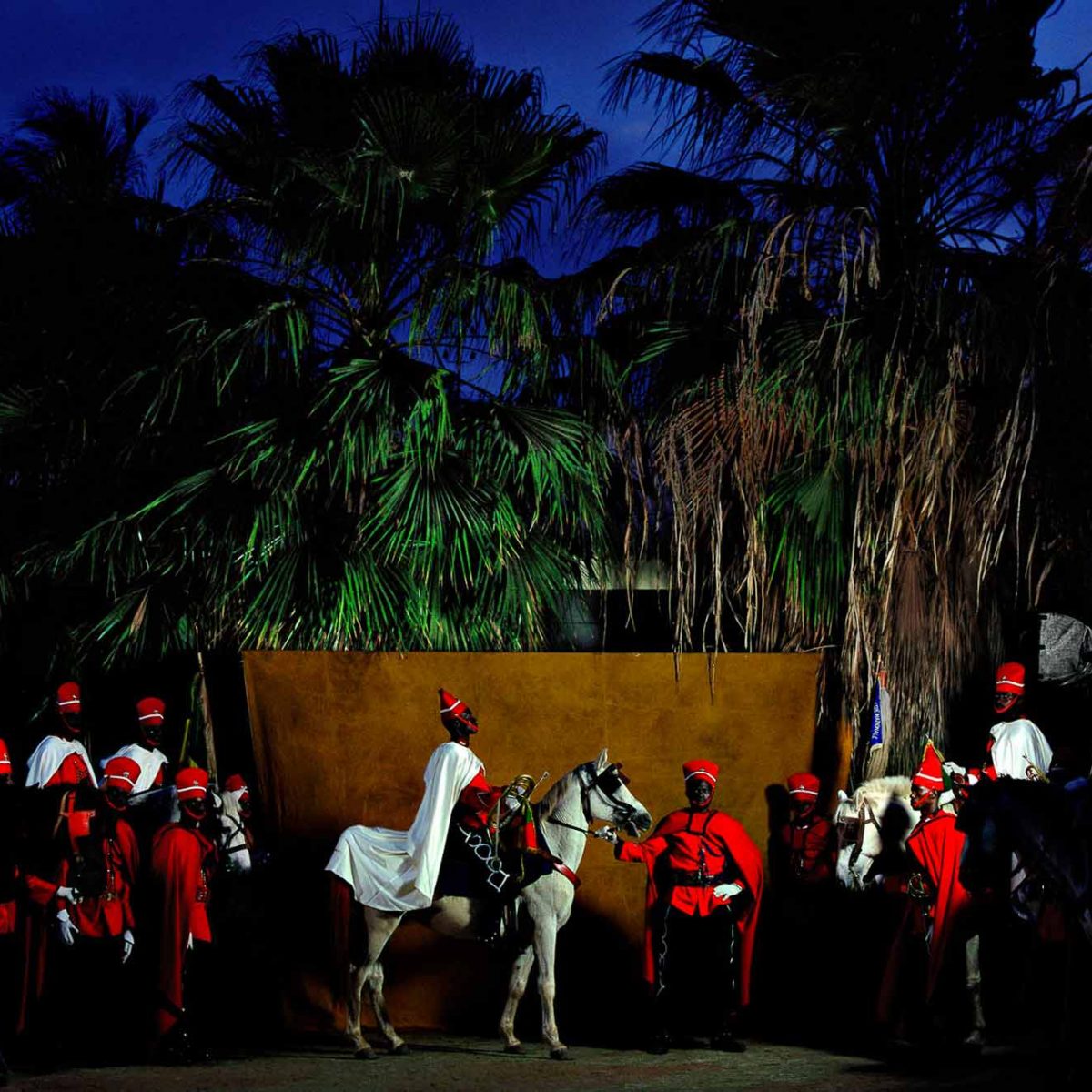 Arab-Bard, Senegal - Yann Arthus-Bertrand Photography - Yann Arthus ...