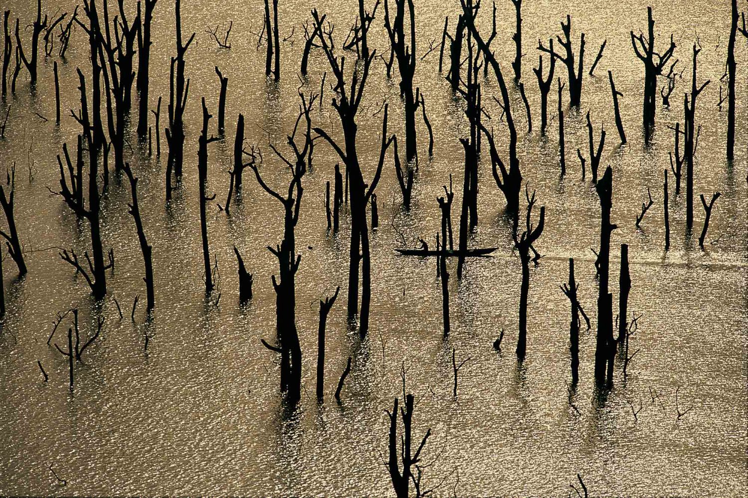 YANN ARTHUS-BERTRAND PHOTO | Photographic Work | Official