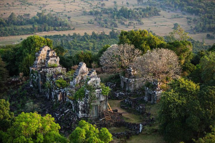 Trees, Cambodge - Yann Arthus-Bertrand Photo